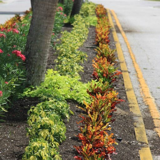 TRI PAR ESTATES - MY JACOBSEN HOMES OF FLORIDA